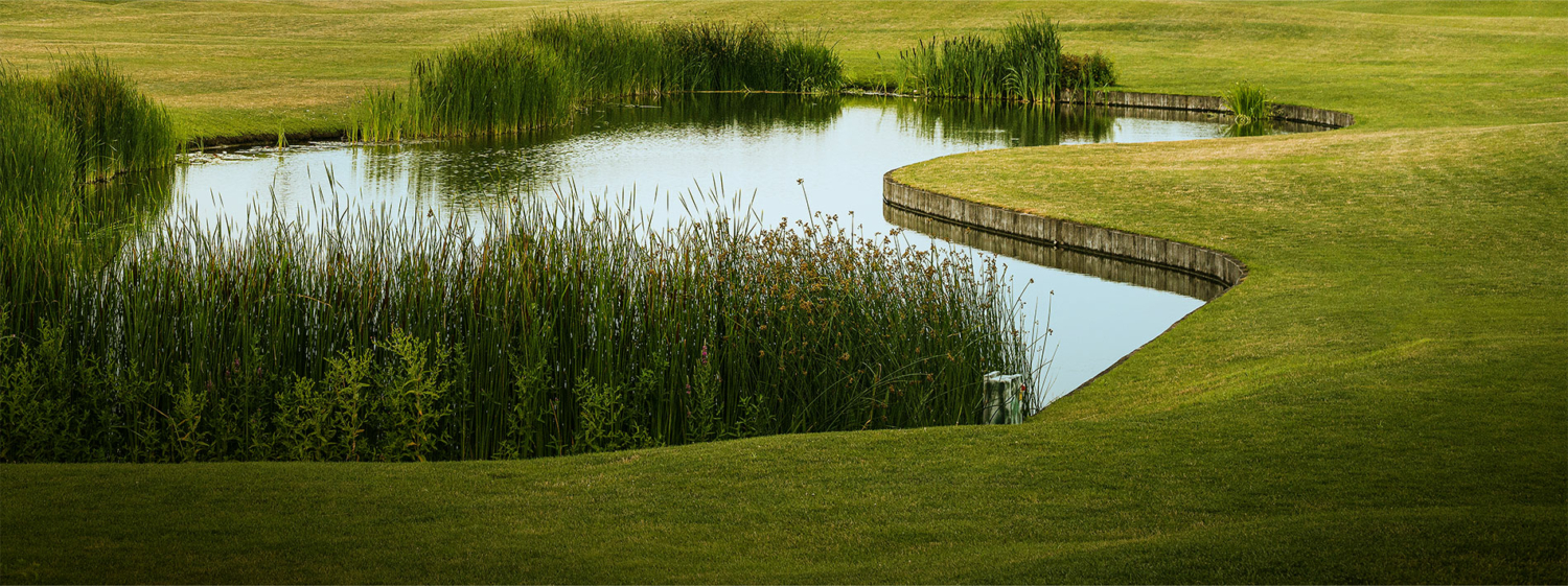 Livestock and Rangeland Management – Aimags and Soums Green Regional ...